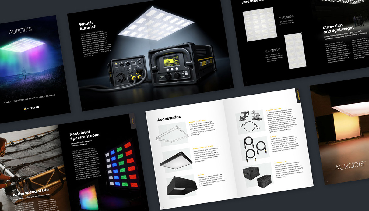 Echo-Factory | One of the Top Advertising Agencies in Los Angeles